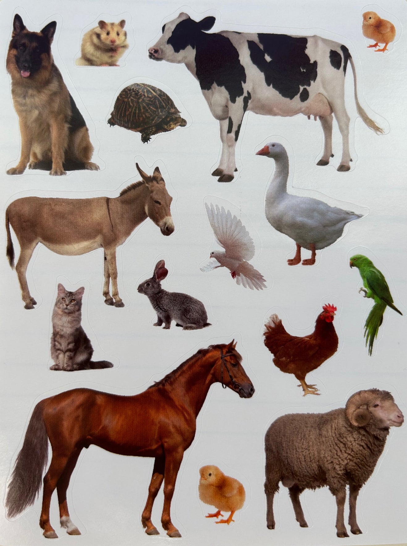 Quick Dry Travel Towel Zonon 800 Piece Wild Animal Stickers - Safari ...