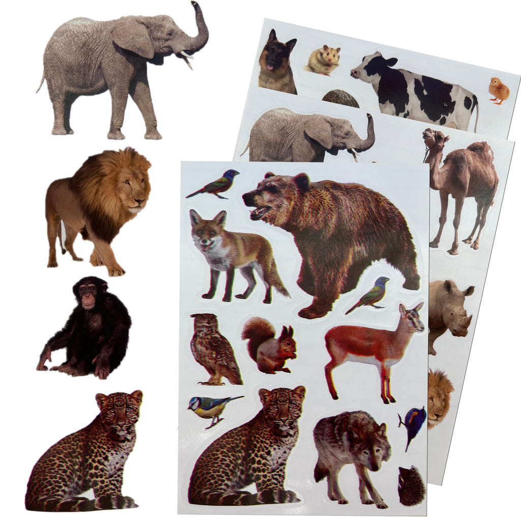 Safari Animal Stickers for Kids Arts and Crafts, Scrapbooking, Jungle ...